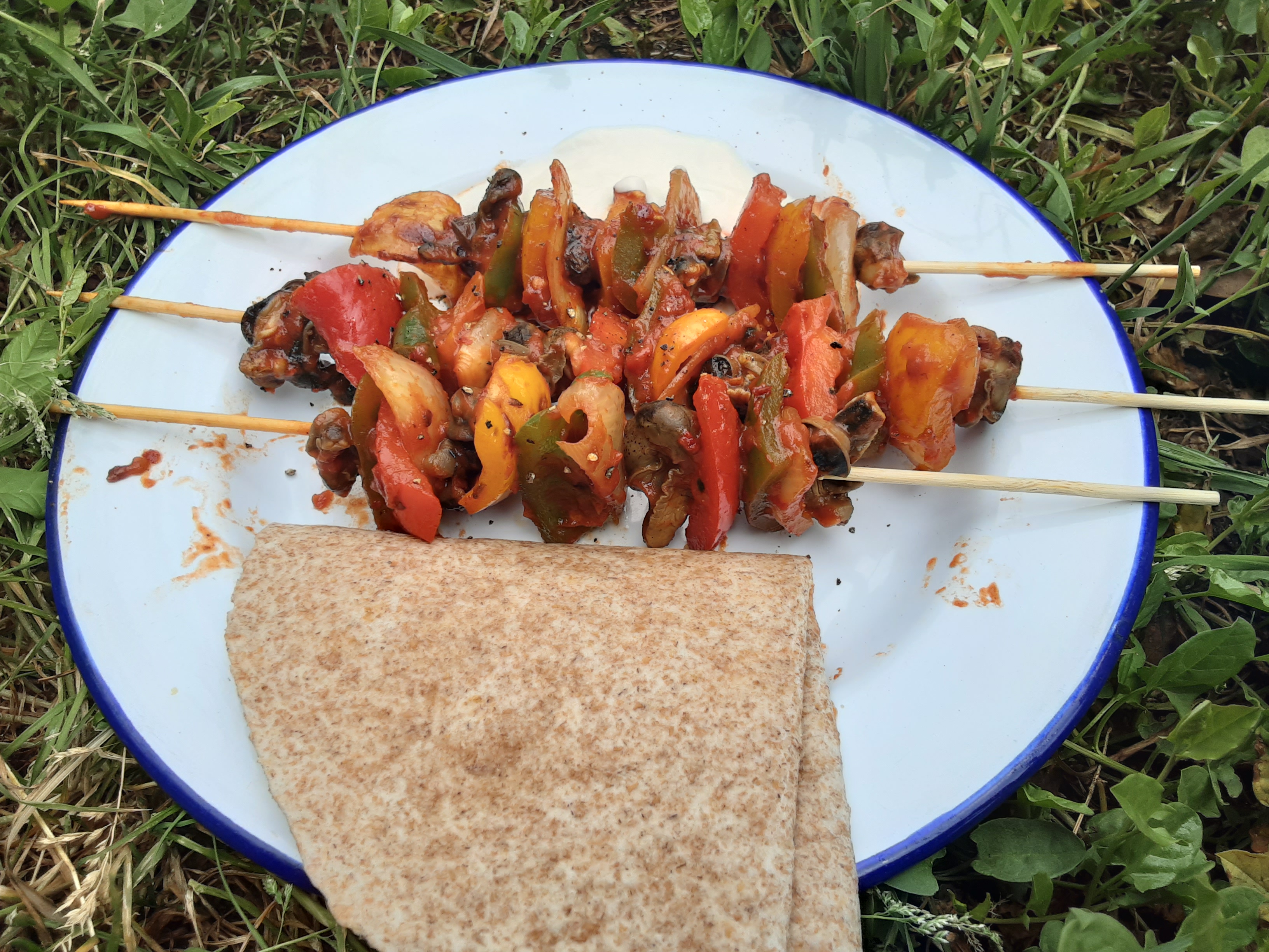 Bushcraft L’Escargot… – HEDGEWITCH ADVENTURES
