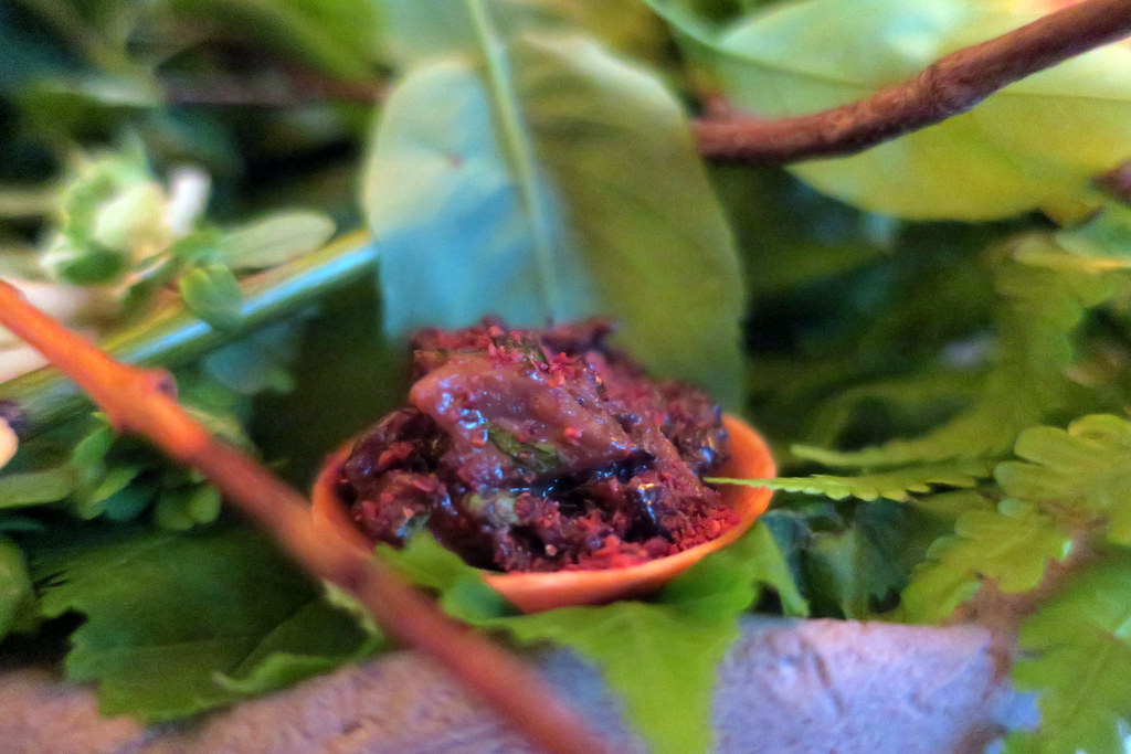 Great Foragers No.1: PROF GORDON HILLMAN – hedgewitchadventuresdotcom