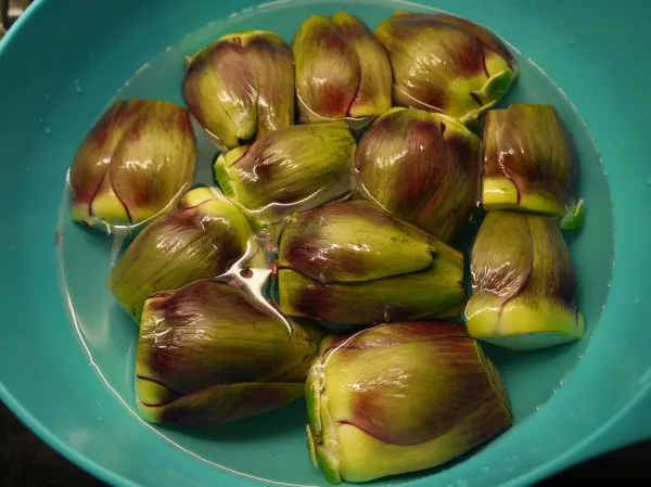 How To Make Sow Thistle Mediterranean Salad – HEDGEWITCH ADVENTURES