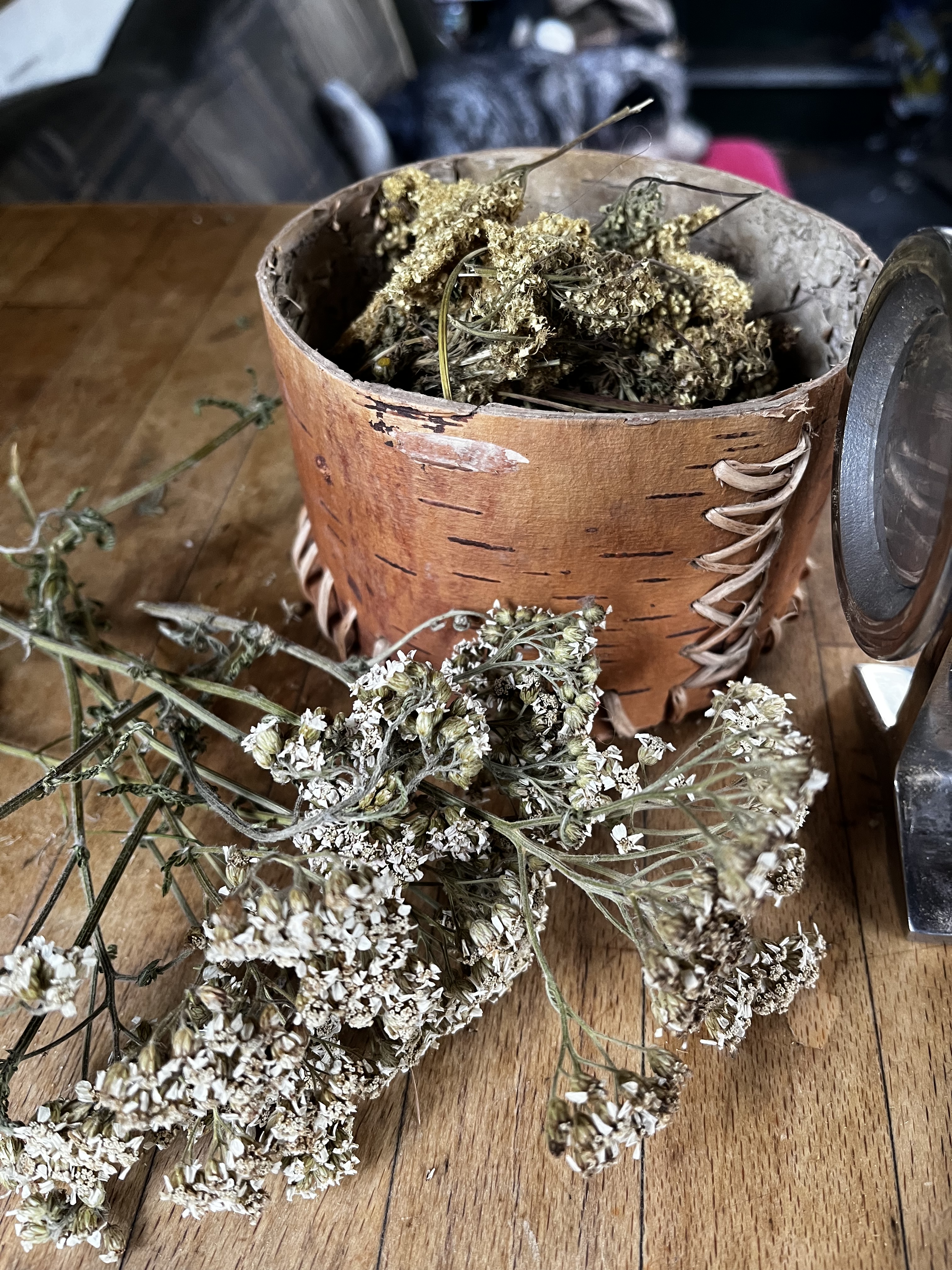 Wild Woods,Herbs & Minerals for Clean Teeth – HEDGEWITCH ADVENTURES