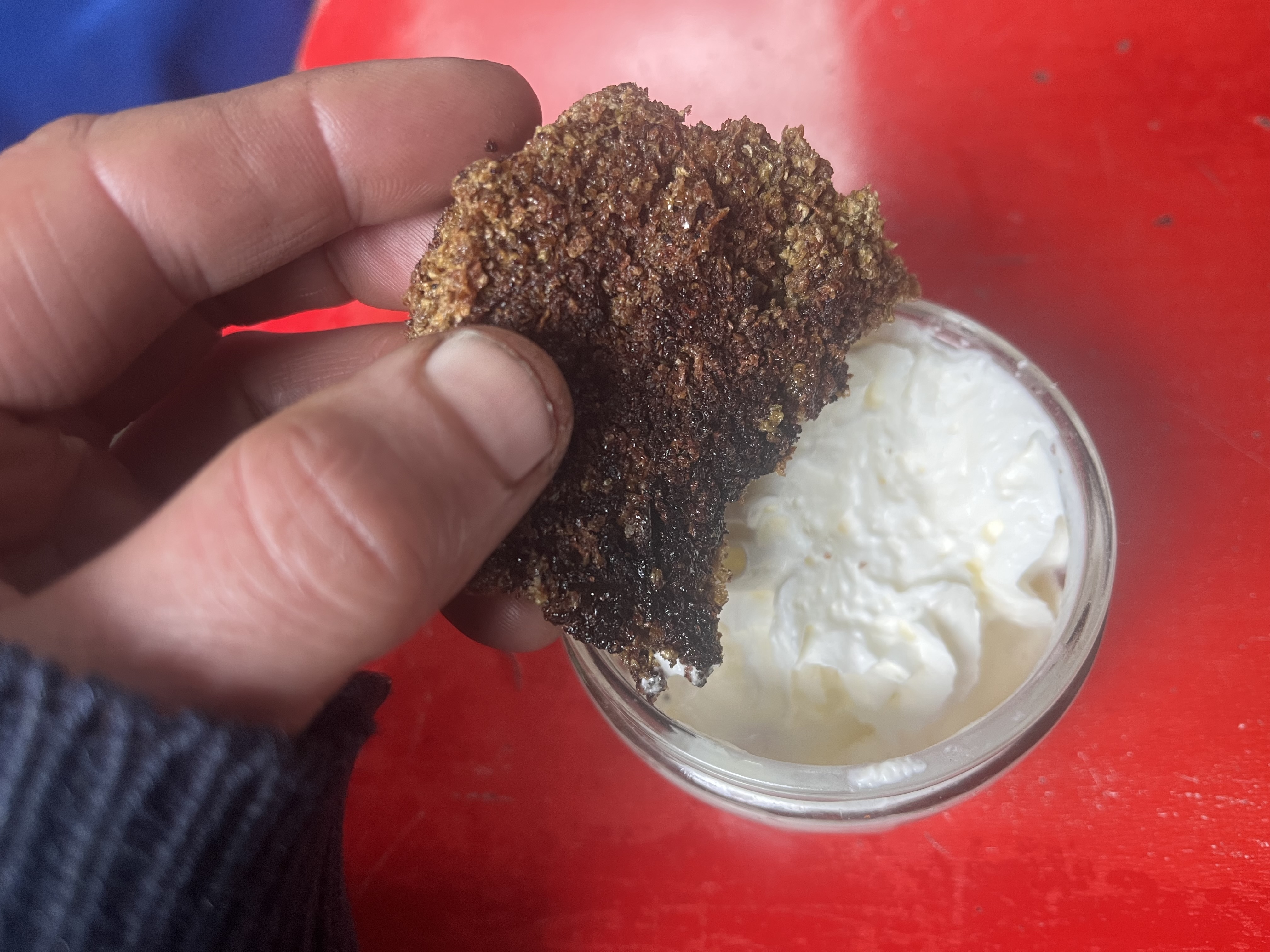 FEBRUARY HAZEL POLLEN: Sweet or Savoury? – HEDGEWITCH ADVENTURES